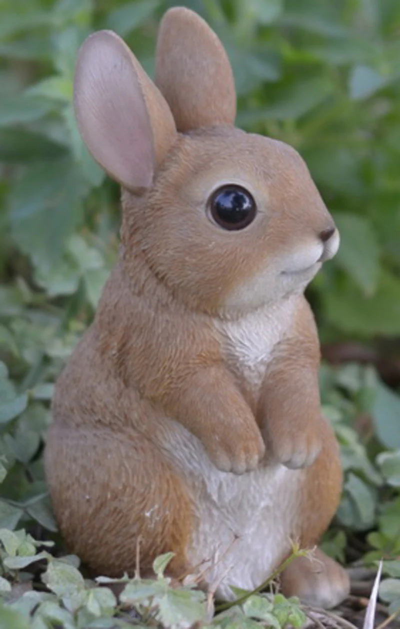 Small Rabbit - Greenpeace Gardens Bonsai| Succulents| Niagara